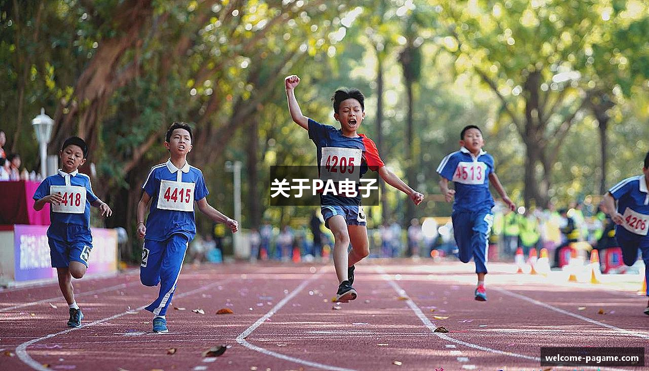 关于PA电子 - PA电子官方-游戏试玩|PLAYACE GAME